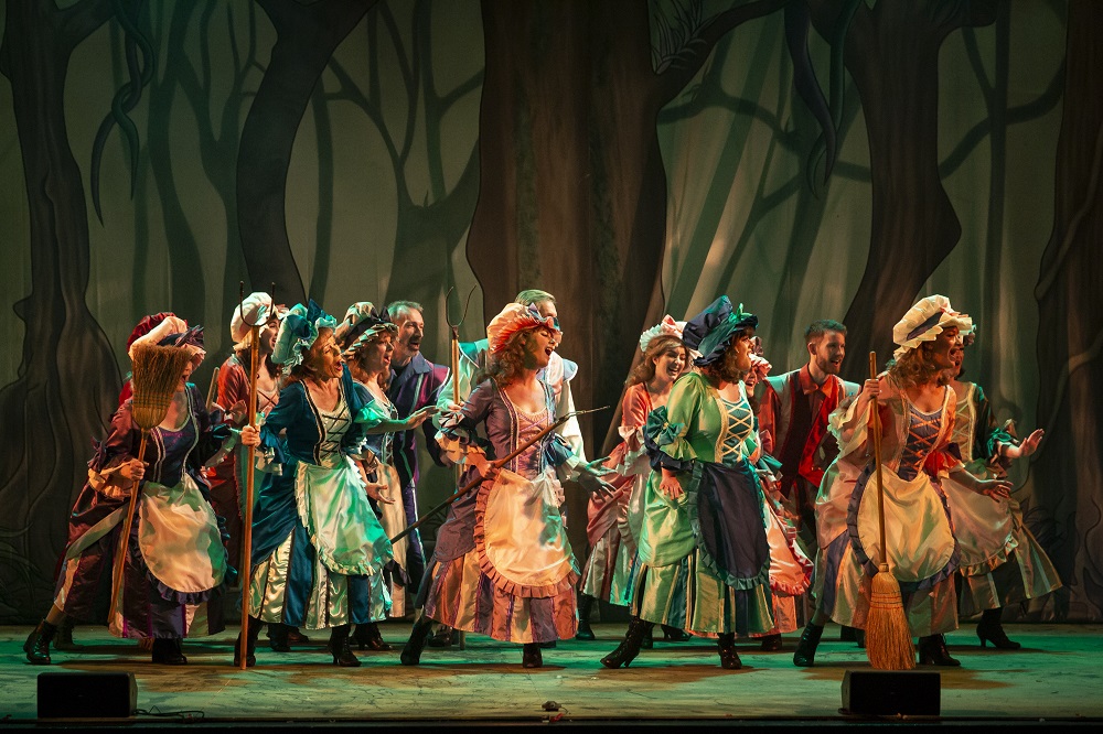 Shrek the Musical Theatrical Costume Hire, Stage Costumes for hire for ...